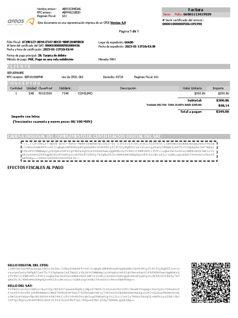 Cliente: Factura | Descargar gratis PDF | Pagos | Dinero