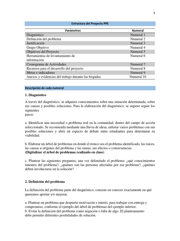 Estructura Del Proyecto Ppe PDF | PDF