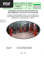 Informe Mensual de Seguridad y Salud en El Trabajo | PDF | Ciencias de la Salud | Business