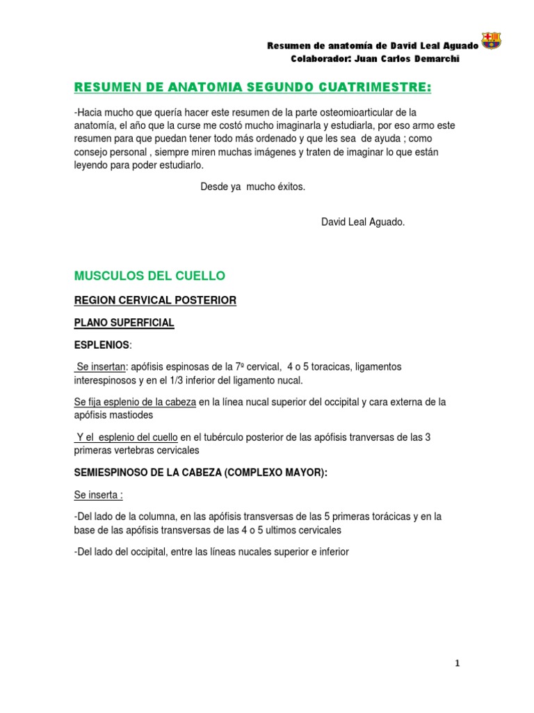 Resumen Del Segundo Cuatrimestre Anatomia David Leal Aguado PDF | PDF ...