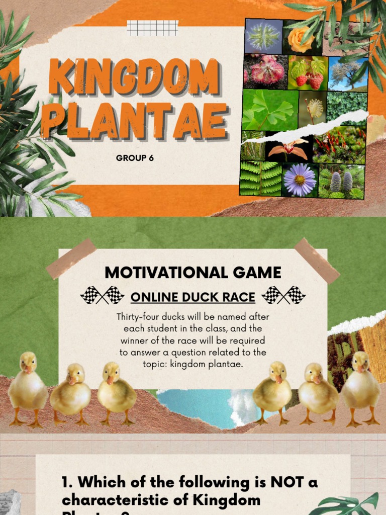 Kingdom Plantae | PDF | Plants | Moss