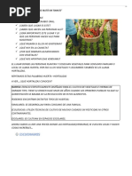 Se Mató Un Tomate (Poesia) | PDF