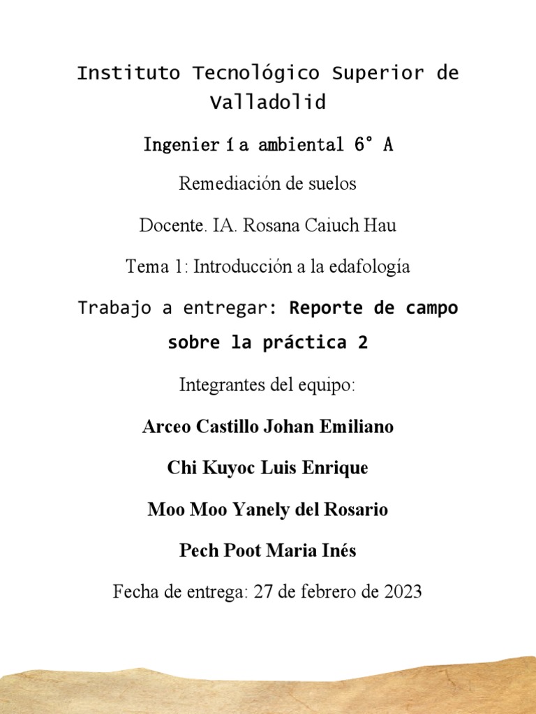 Practica de Campo Calicata | PDF