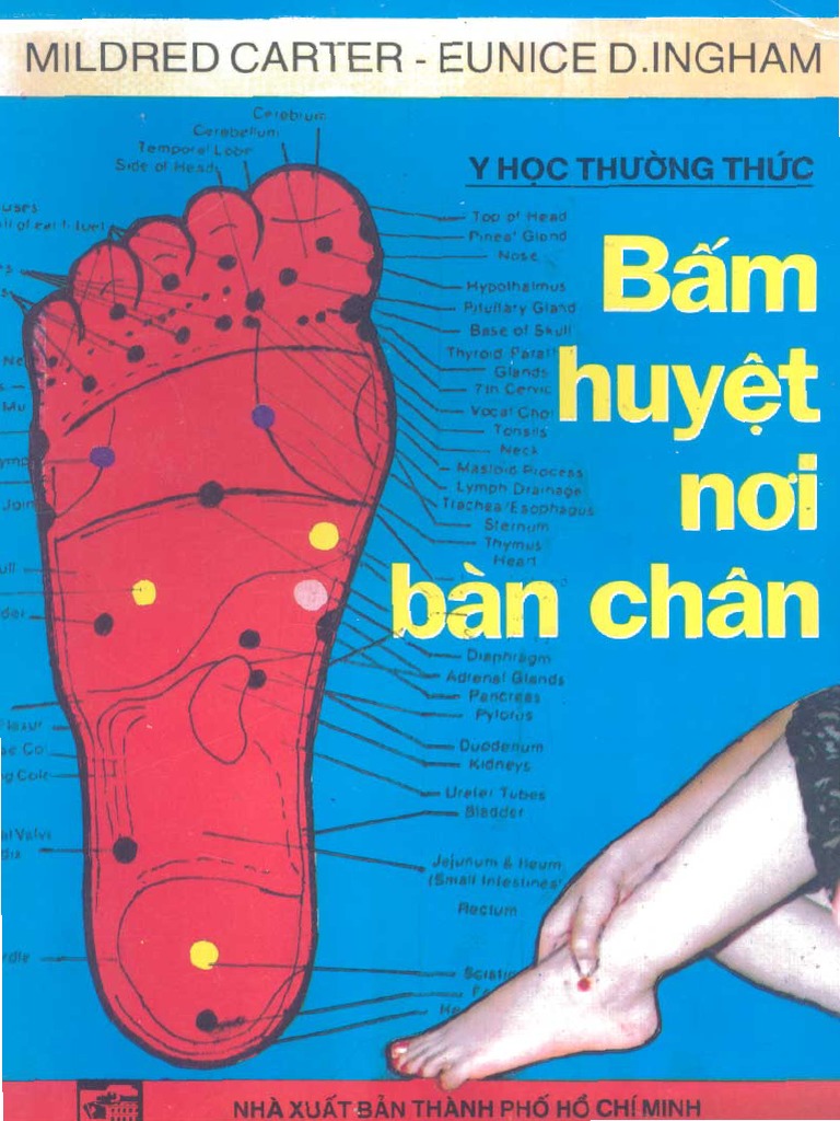 Bam Huyet Noi Ban Chan PDF | PDF