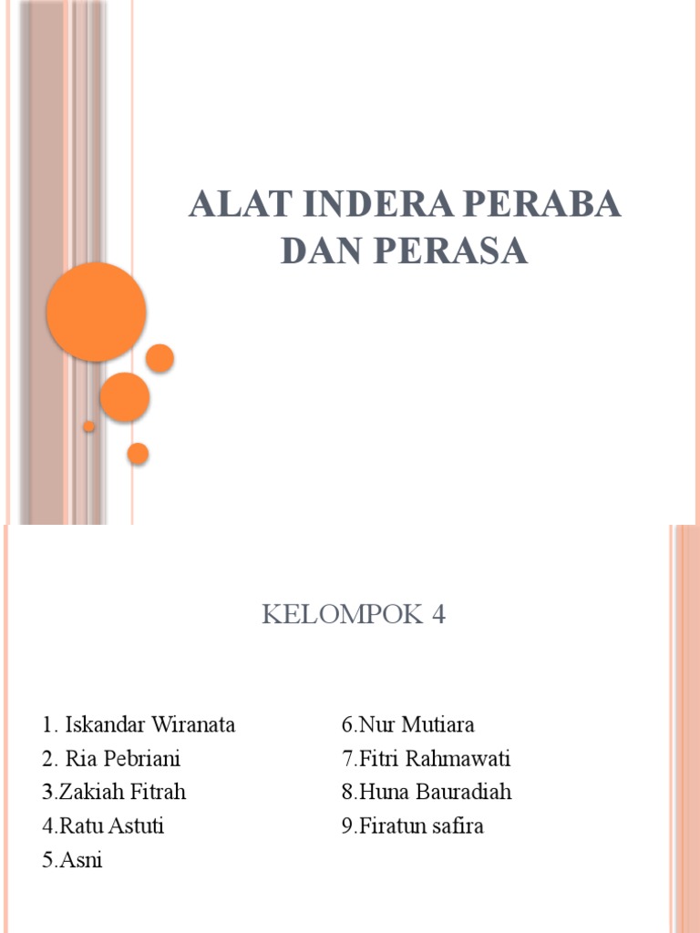 Kel.4 Indera Peraba Dan Perasa | PDF