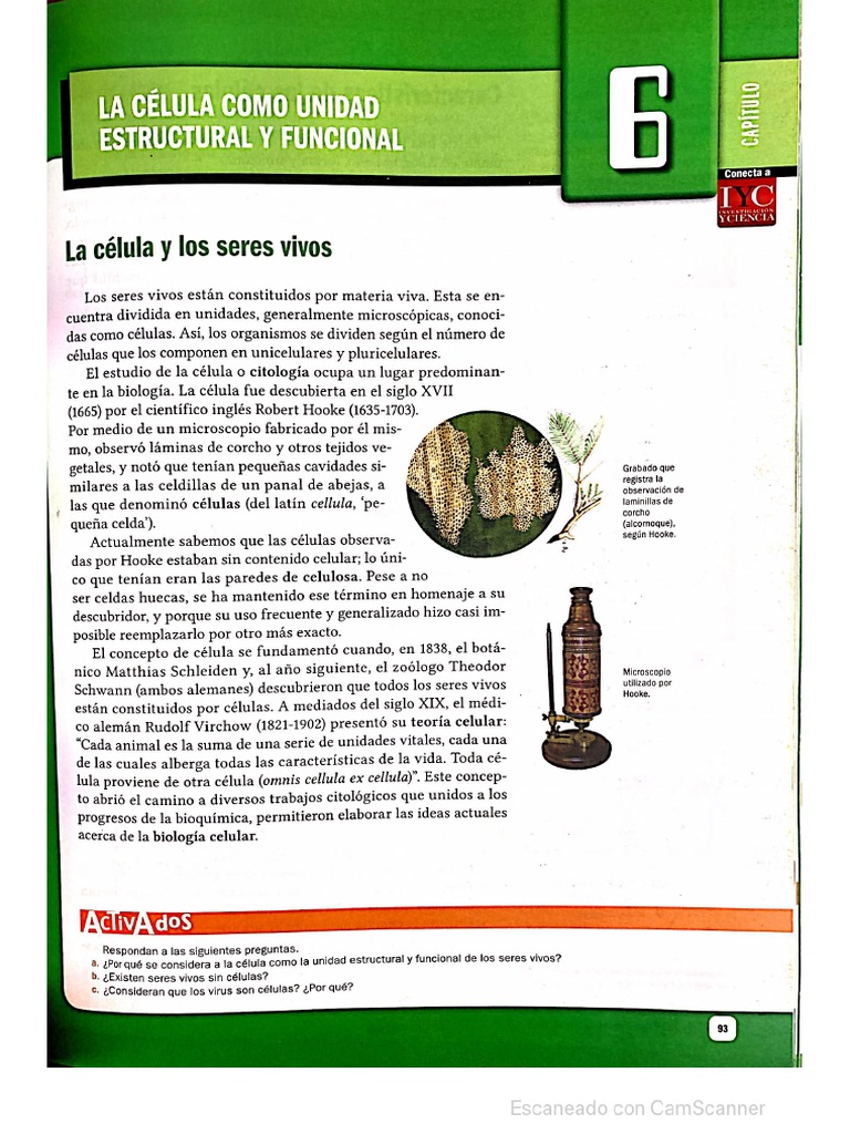Material Célula | PDF