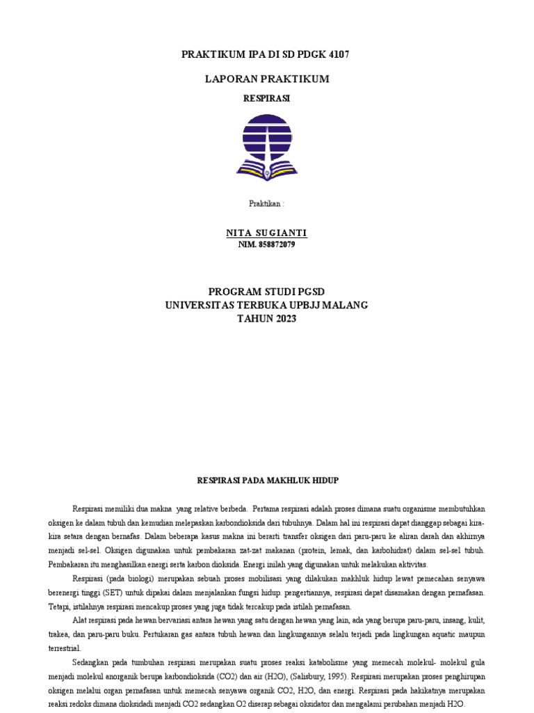 LKP Respirasi Nita | PDF