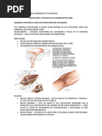 Manejo Artroscópico de Fracturas de Troquíter | PDF | Medicina CLINICA ...