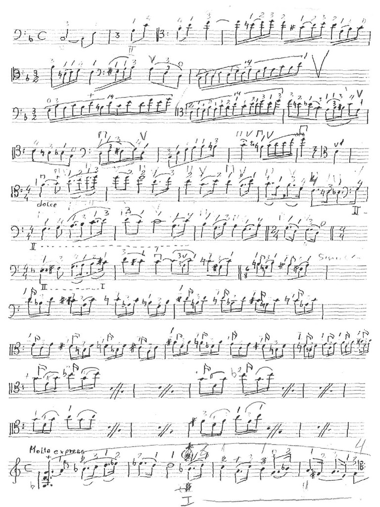 Capuzzi Cadenza PDF | PDF