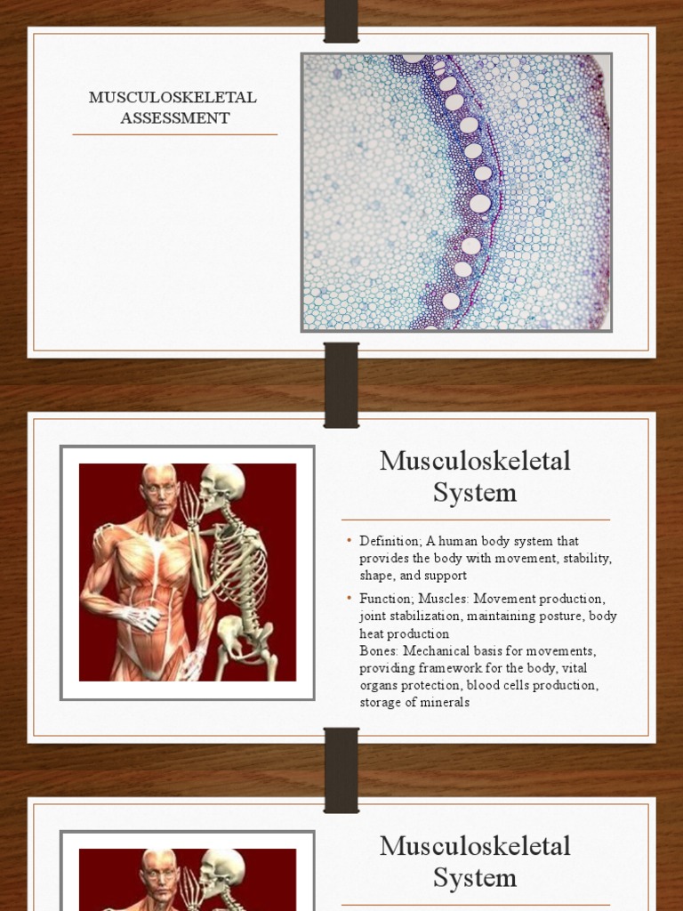 Musculoskeletal System Overview | PDF | Anatomical Terms Of Motion ...