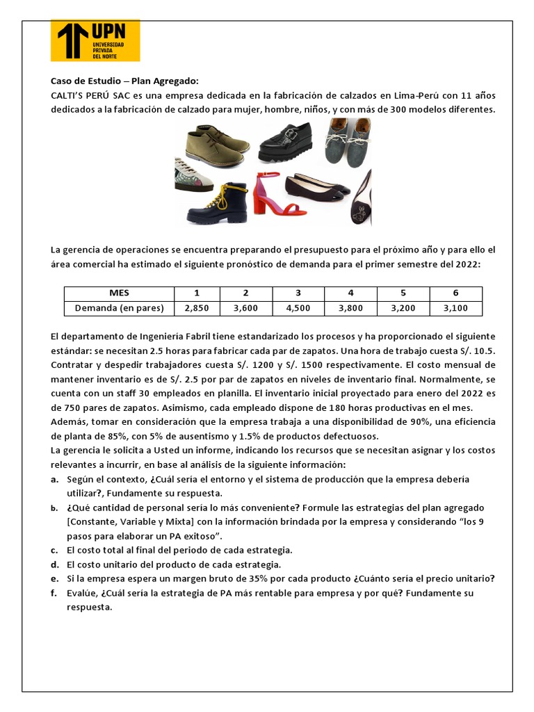 Plan Agregado para CALTI'S PERÚ SAC | PDF | Negocios | Finanzas y dinero