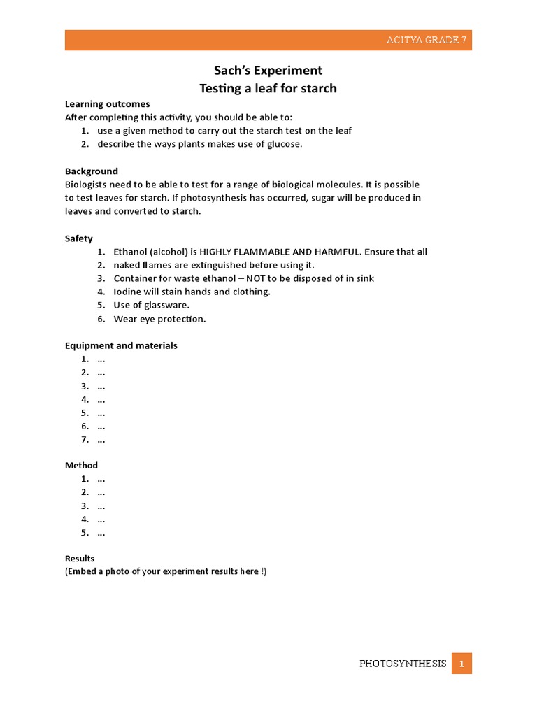 Sach's Experiment For Grade 7 | PDF | Starch | Biology