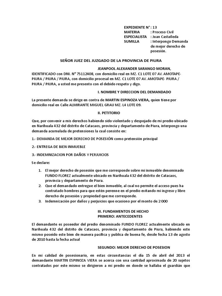 Demanda Reales | PDF | Posesión (Ley) | Propiedad