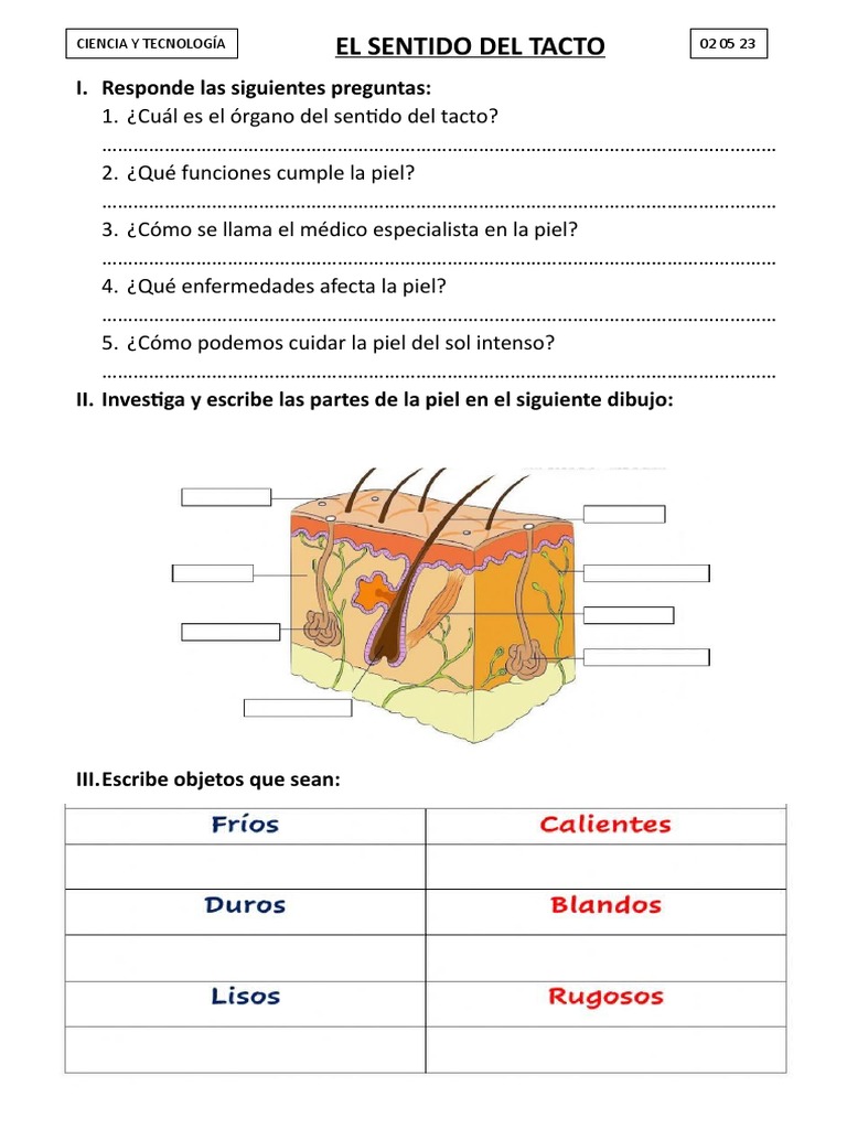 El Sentido Del Tacto | PDF