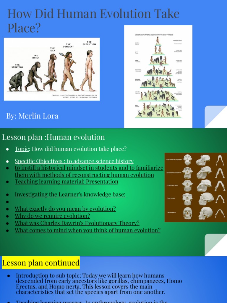 Intro To Eveloution | PDF | Homo | Human Evolution