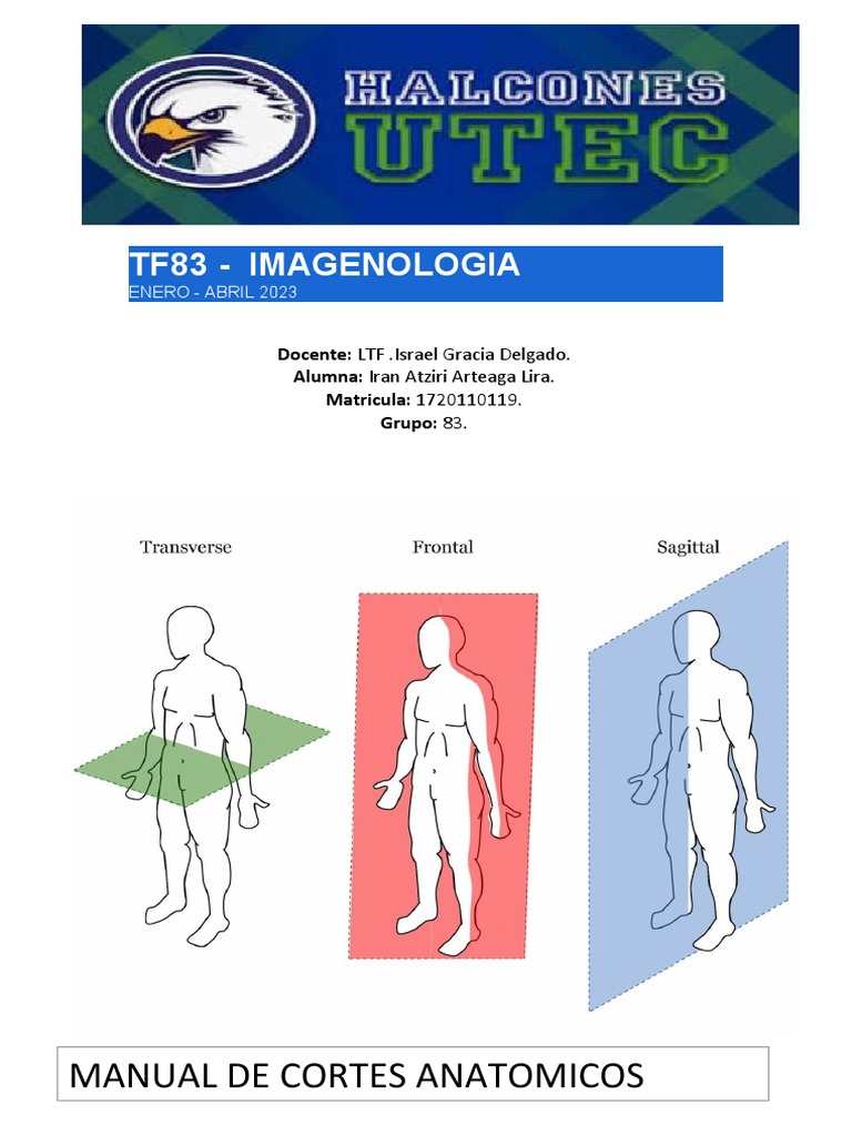 Manual de Cortes Anatomicos-Iran TF83 | PDF | Tracto gastrointestinal ...