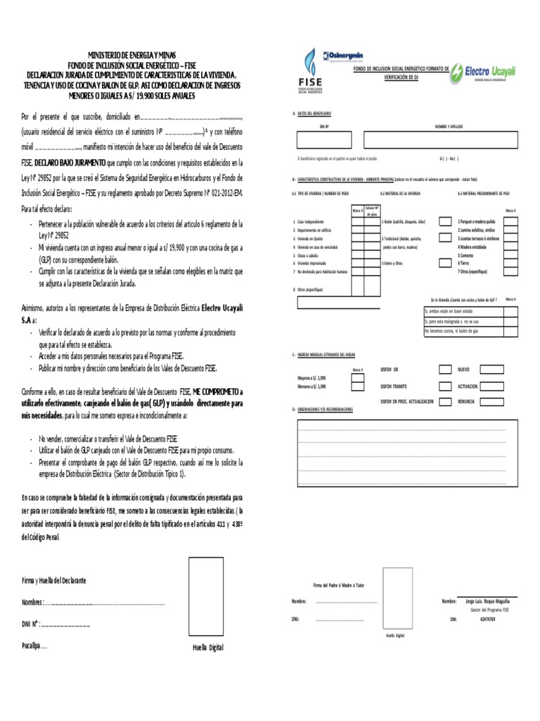 Modelo de Declaracion - FISE PDF | PDF