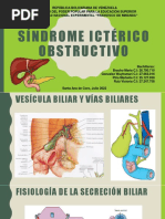 Anatomía del triángulo de Calot y Buddé | PDF | Vesícula biliar | Hígado