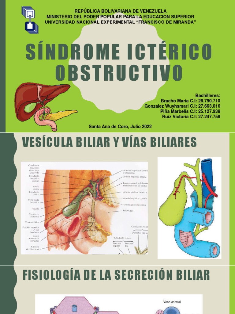 Síndrome Ictérico Obstructivo | PDF | Bilis | Órgano (anatomía)