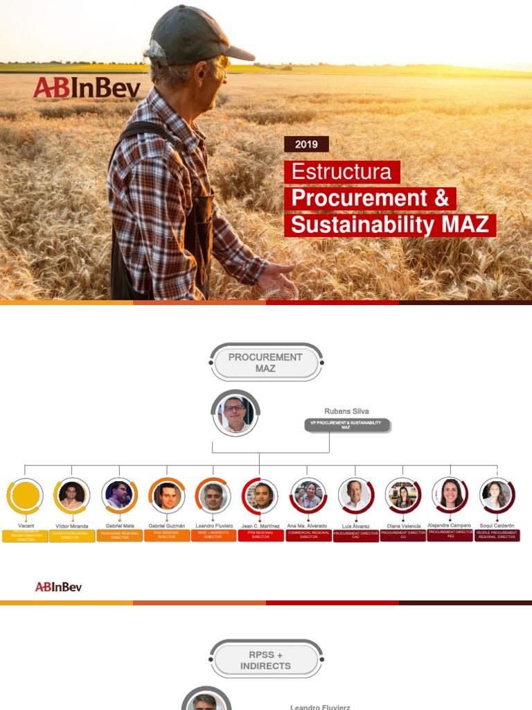 Estructura Procurement & Sustainability MAZ PDF | PDF