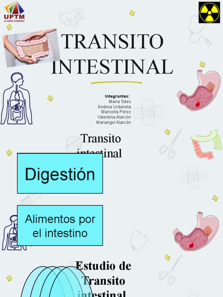 Procedimiento de Tránsito Intestinal | PDF