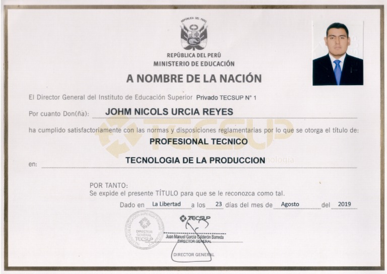 Titulo Profesional PDF | PDF