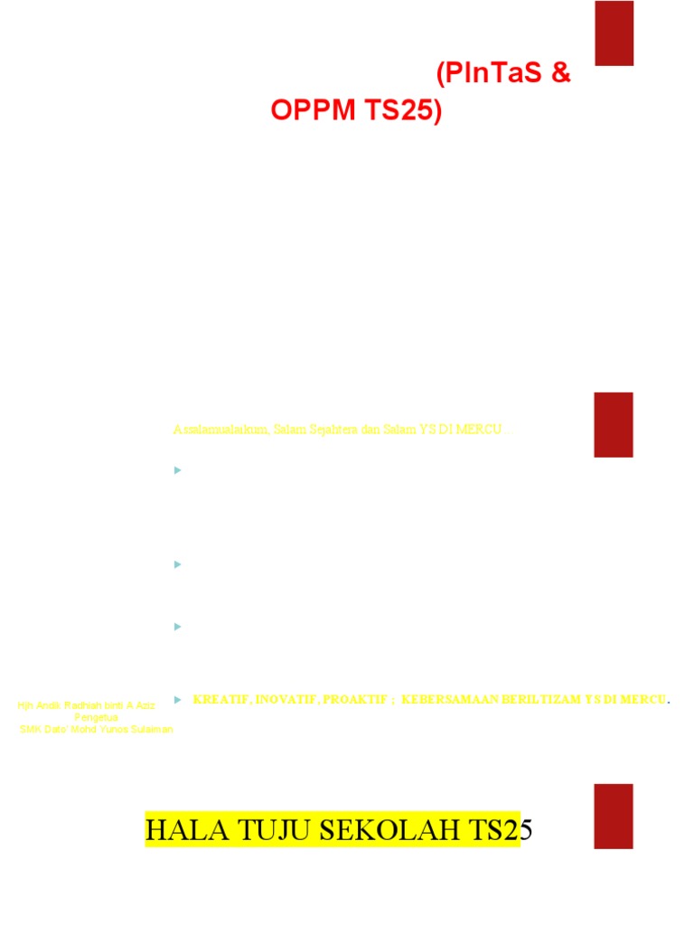 Pintas & OPPM TS25 SMKDMYS... Edit 24dis | PDF