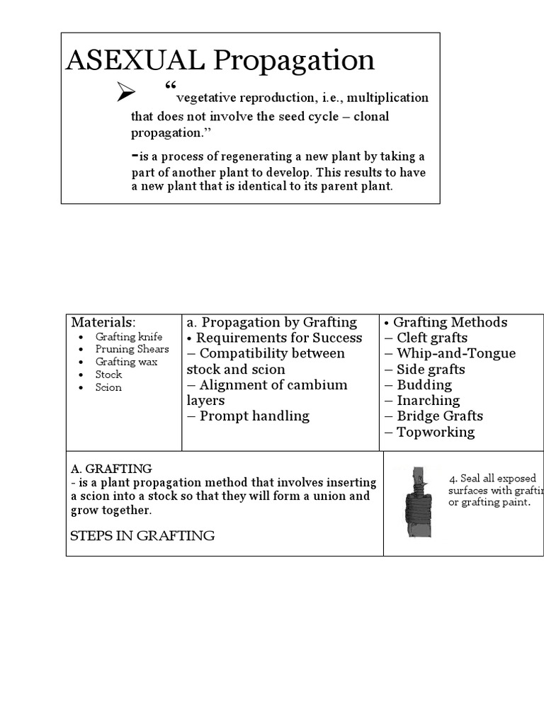Propagation | PDF | Grafting | Plants