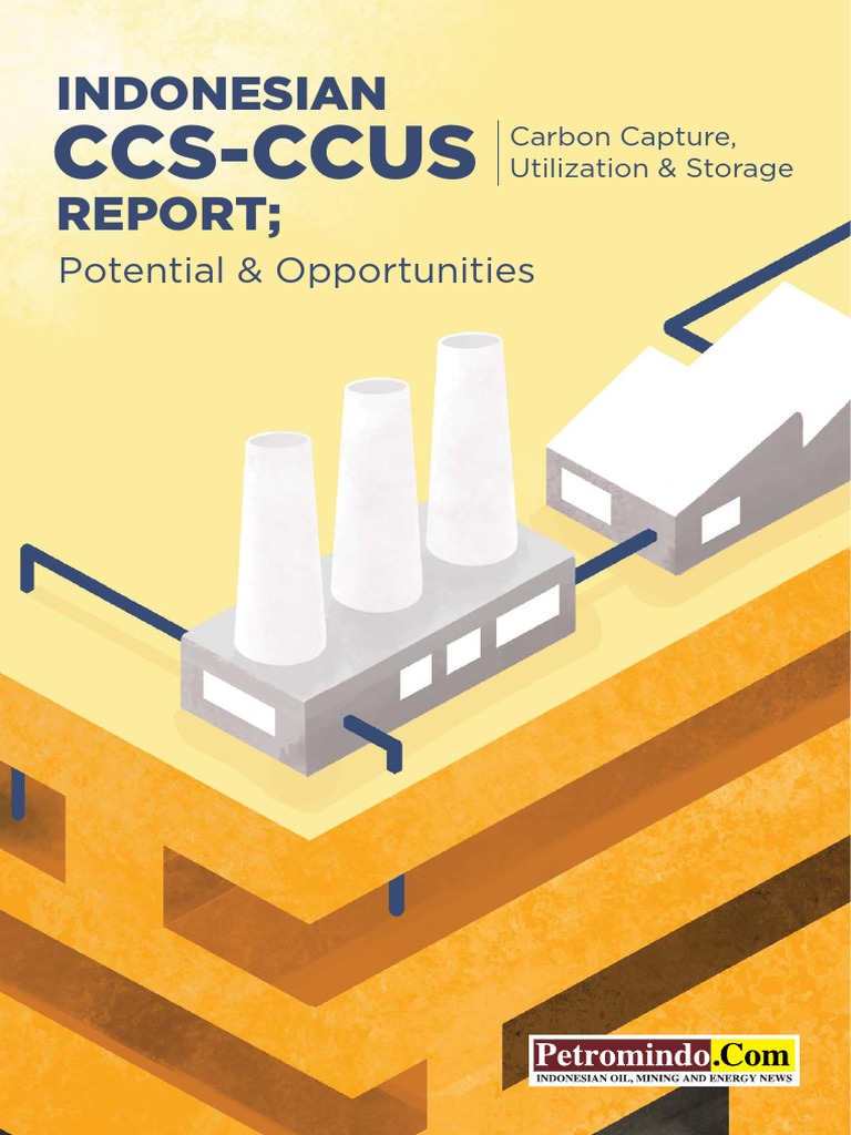 Ccus Report As Feb 2022 - Unlock | PDF | Carbon Capture And Storage | Enhanced Oil Recovery