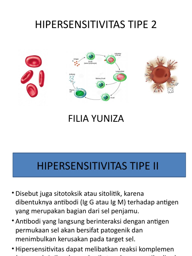 Mekanisme dan Contoh Hipersensitivitas Tipe II | PDF