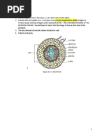 Iron Nail Rusting Experiment Report | PDF | Rust | Corrosion