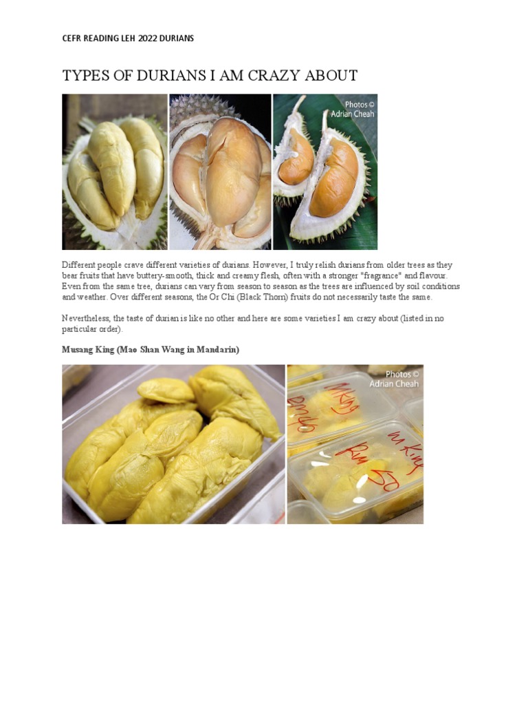 TYPES OF DURIANS I AM CRAZY ABOUT (1) | PDF | Taste | Foods