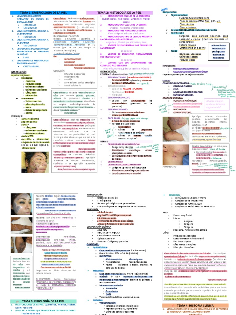Tema 1 - Dermato | PDF | Piel | Epidermis