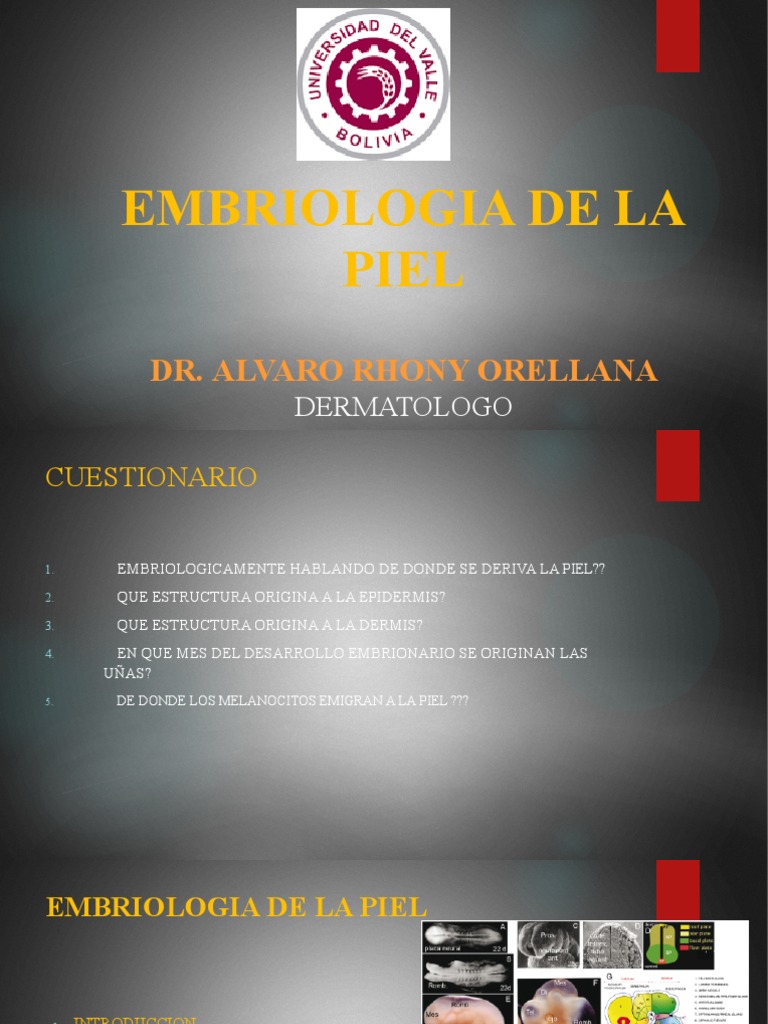 Tipos de piel y sus características | PDF | Piel | Epidermis