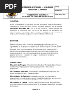 Programa de Protección Personal EPP | PDF | Riesgo | Salud y bienestar