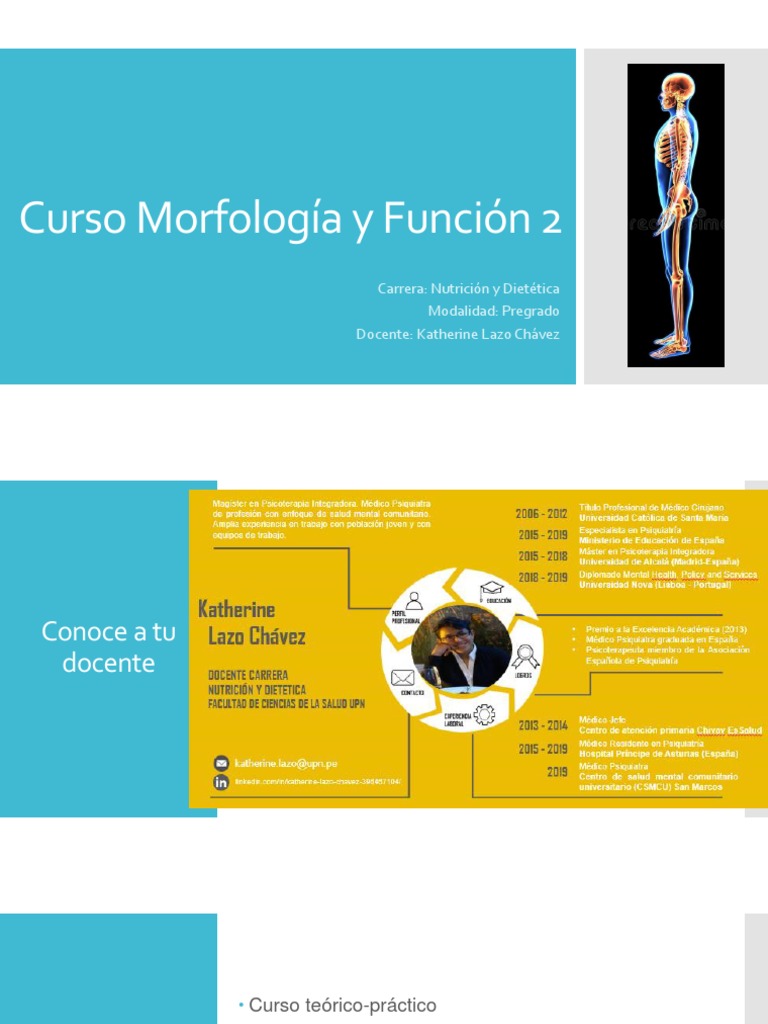 UG Presentación del curso morfo 2. KLC 2020 | PDF | Especialidades Medicas | Medicina CLINICA