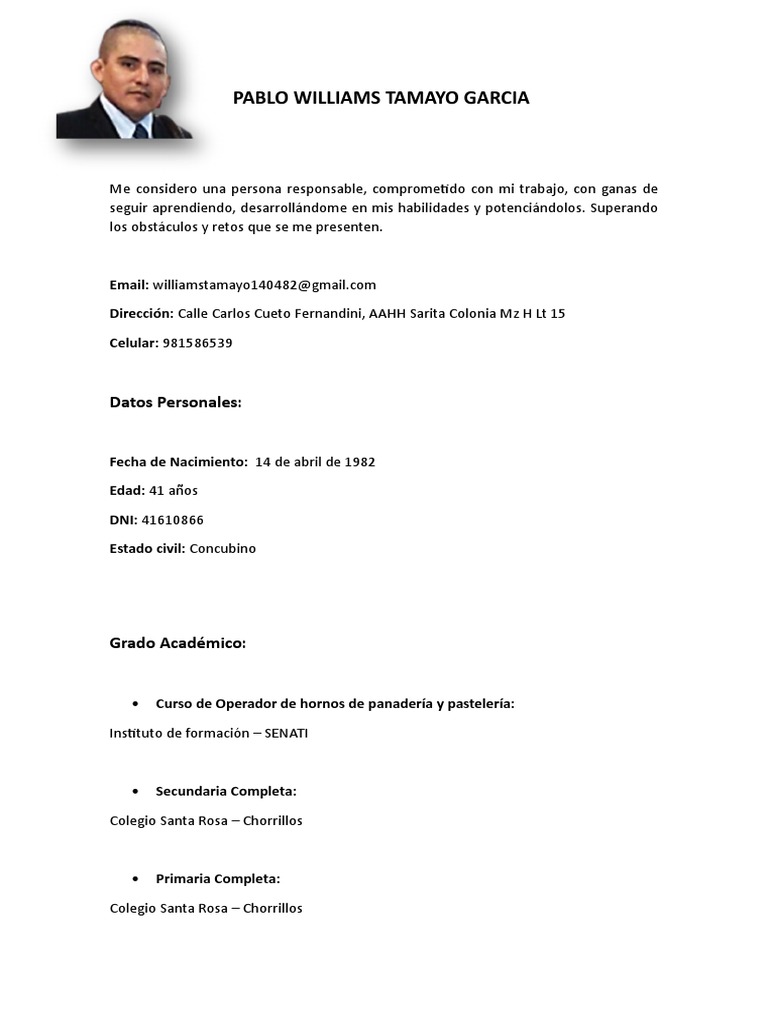 CV Willy | PDF | Estilo de vida