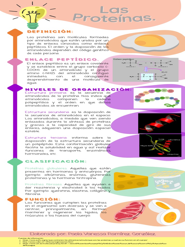 Infografía. Proteínas. | PDF | Proteínas | Aminoácidos