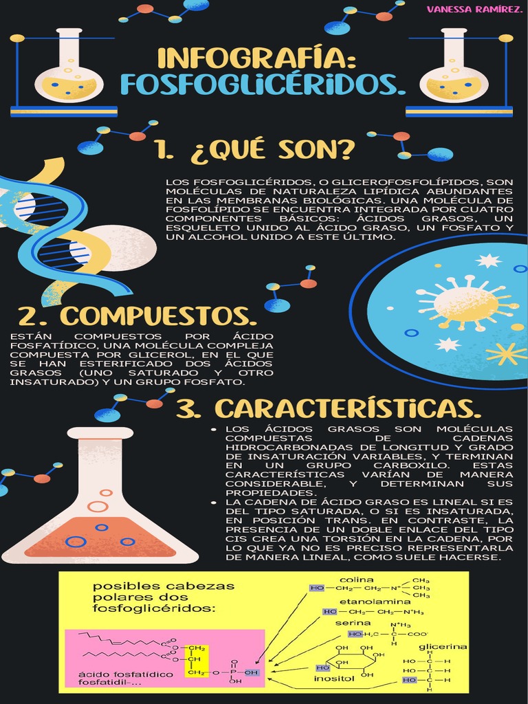 Estructura y funciones de fosfoglicéridos | PDF | Ácido graso | Lípido