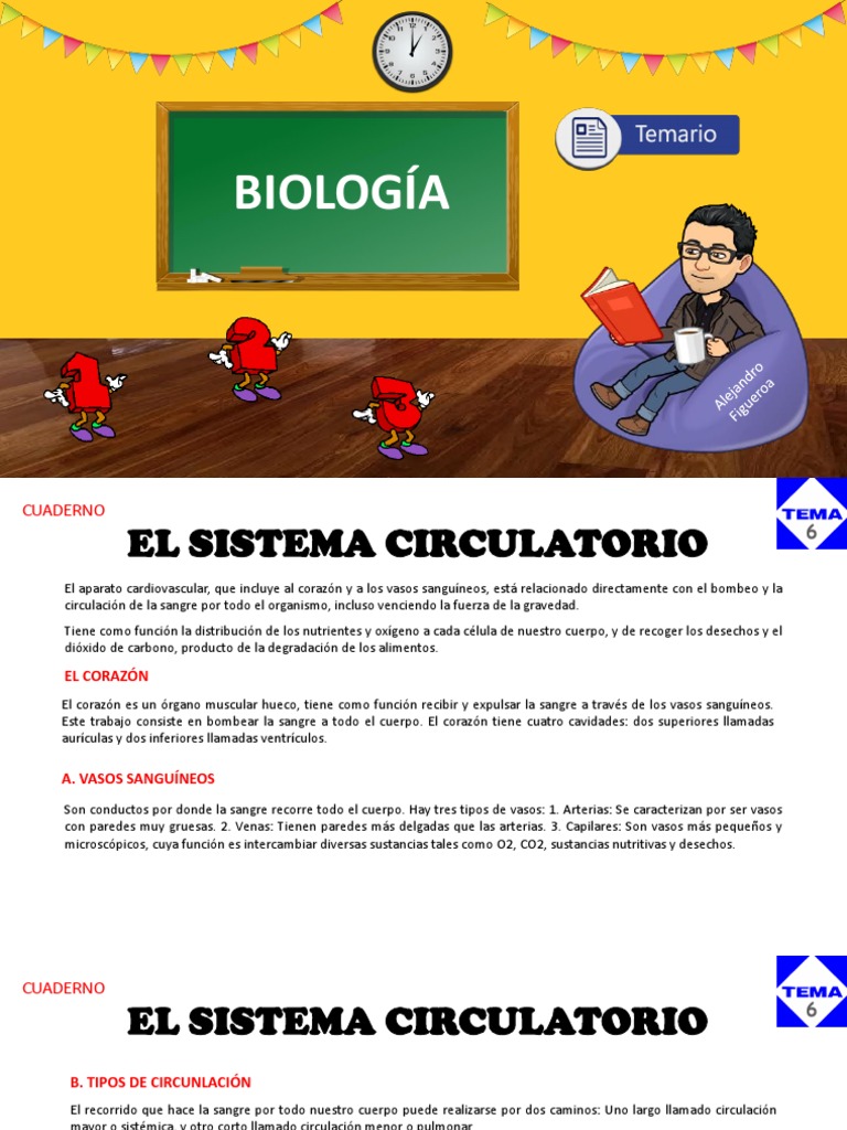 Tema 6 - El Sistema Circulatorio | PDF