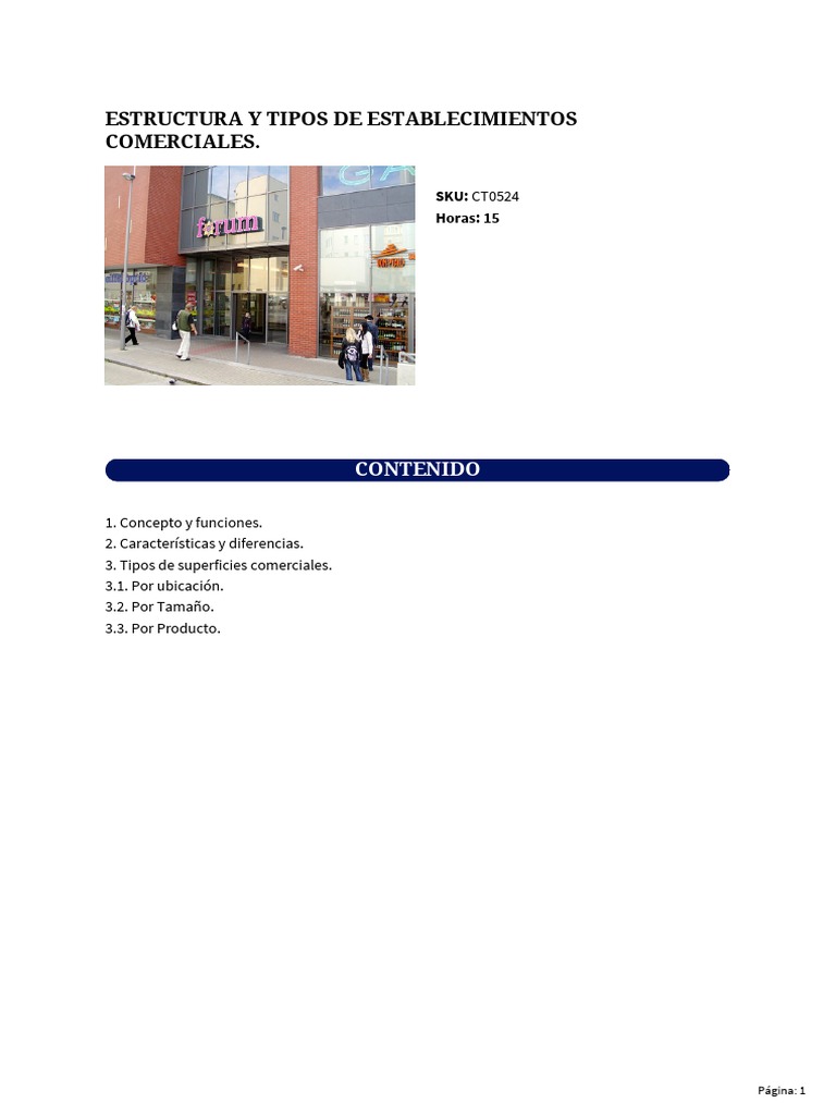Estructura y Tipos de Establecimientos Comerciales PDF | PDF