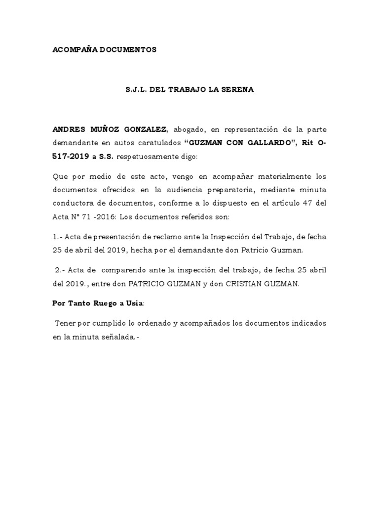 Acompaña Documentos Andres PDF | PDF