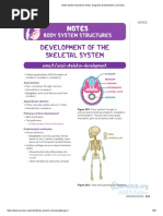 Female Reproductive System Diagrams | PDF | Reproductive System ...