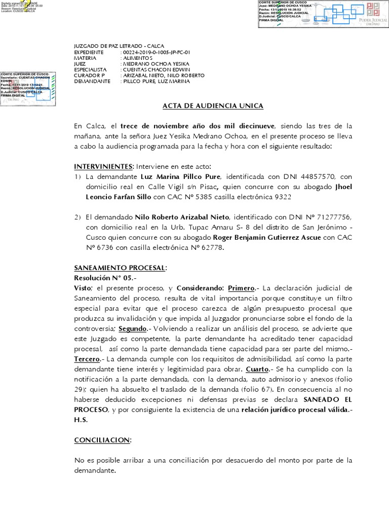 Acta de Audencia | PDF | Demanda judicial | Ley procesal