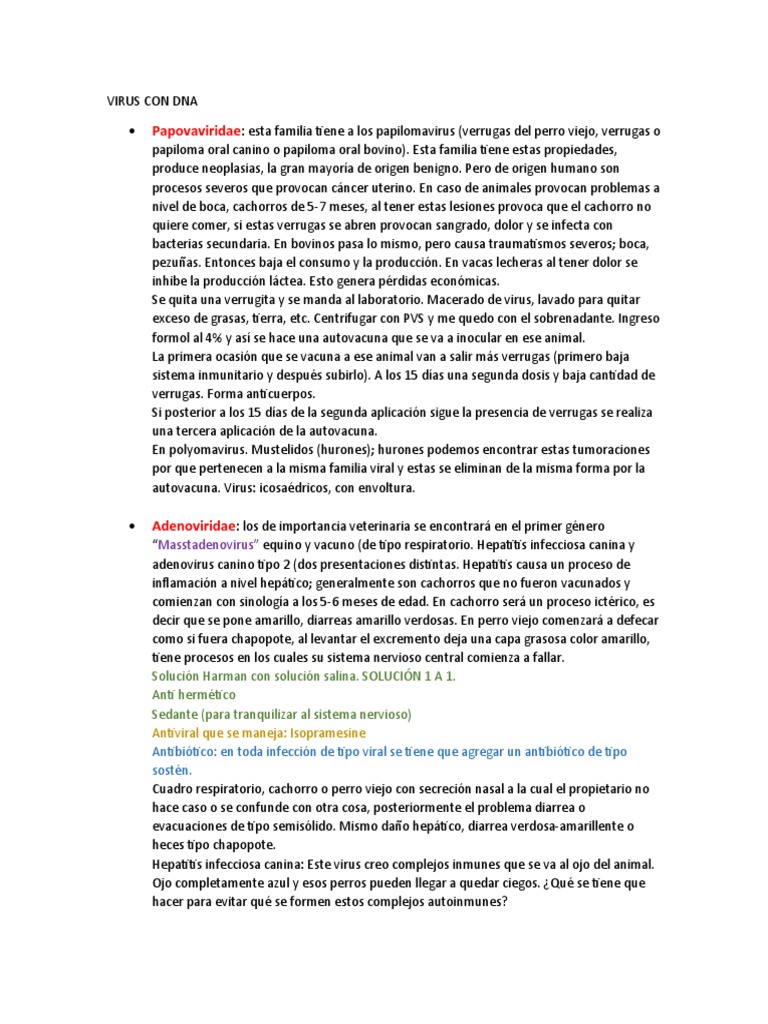 Virus ADN y ARN | PDF | Virus | Rabia