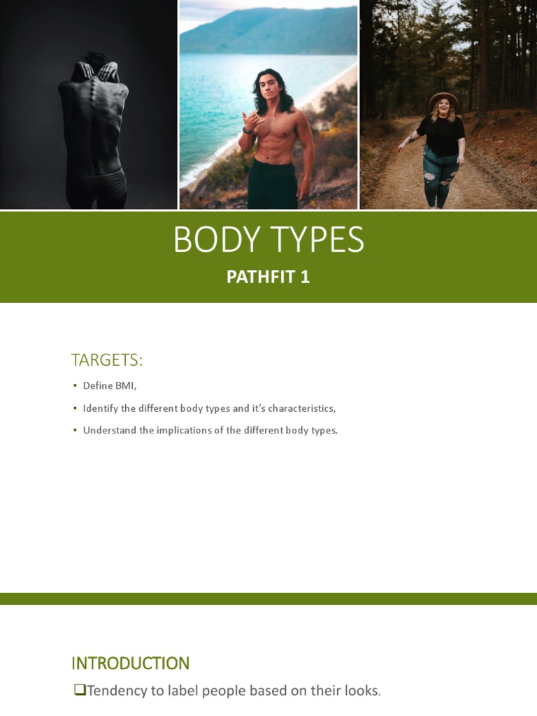 Body Types | PDF