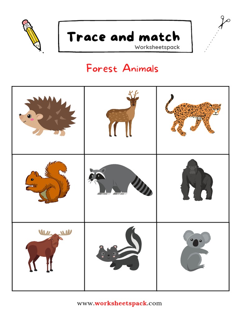 Forest Animals Trace and Match Worksheet | PDF