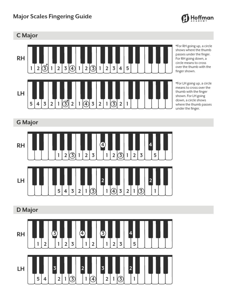 Major Scales Guide | PDF | Hand