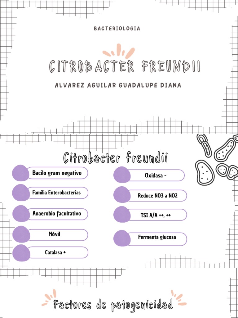 Citrobacter Freundii OFICIAL | PDF | Infección del tracto urinario ...