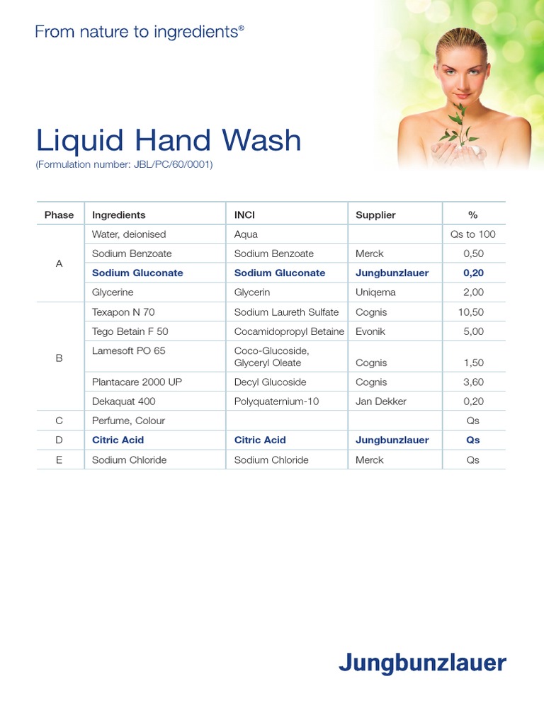 Formula Card - GA - Liquid - Hand - Wash | PDF | Chemistry | Chemical ...